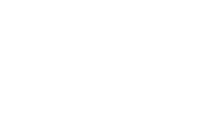 MISSO – The Premier Business Information Technology Student Organization